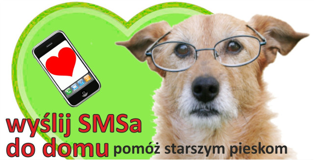 Wyślij SMS-a do domu! | Zielona Góra Nasze Miasto