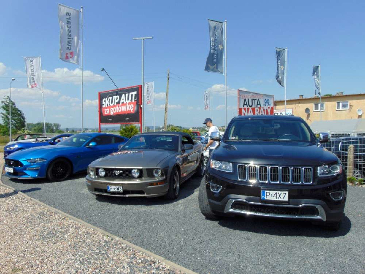 Zlot Samochod w Ameryka skich W Euro Auto W Ratajach ZDJ CIA Zlot Samochod w Ameryka skich W Euro Auto W Ratajach ZDJ CIA