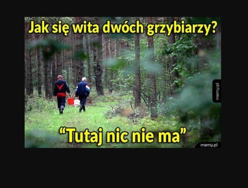 MEMY grzybobranie | Express Ilustrowany