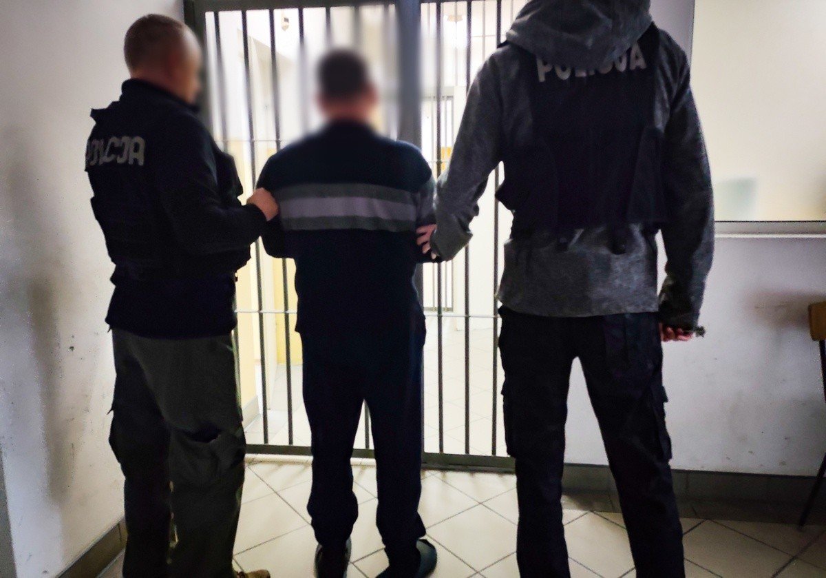 51-latek z zarzutami znęcania się nad bydłem. Ze względu na stan, dwie ...