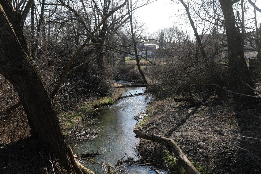 Kraków. Walka o zielone tereny nad rzeką Prądnik. Co zrobi firma byłej ...