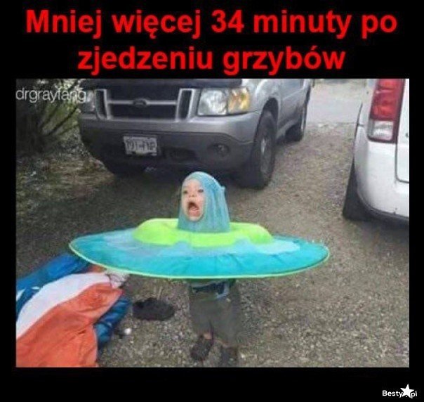 Najśmieszniejsze MEMY o grzybiarzach! Najweselsze MEMY o grzybiarzach ...