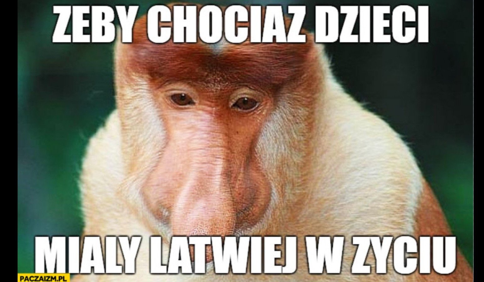 Nosacz Janusz W Nowej Ods onie Smutne MEMY Z Nosaczem Podbi y Internet