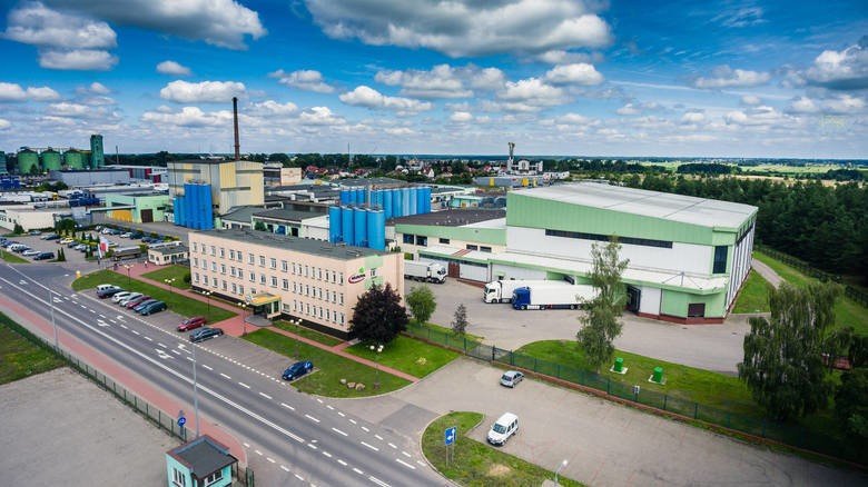 Mlekpol Grajewo: Gouda i Edam – nowe sery w ofercie grajewskiej ...