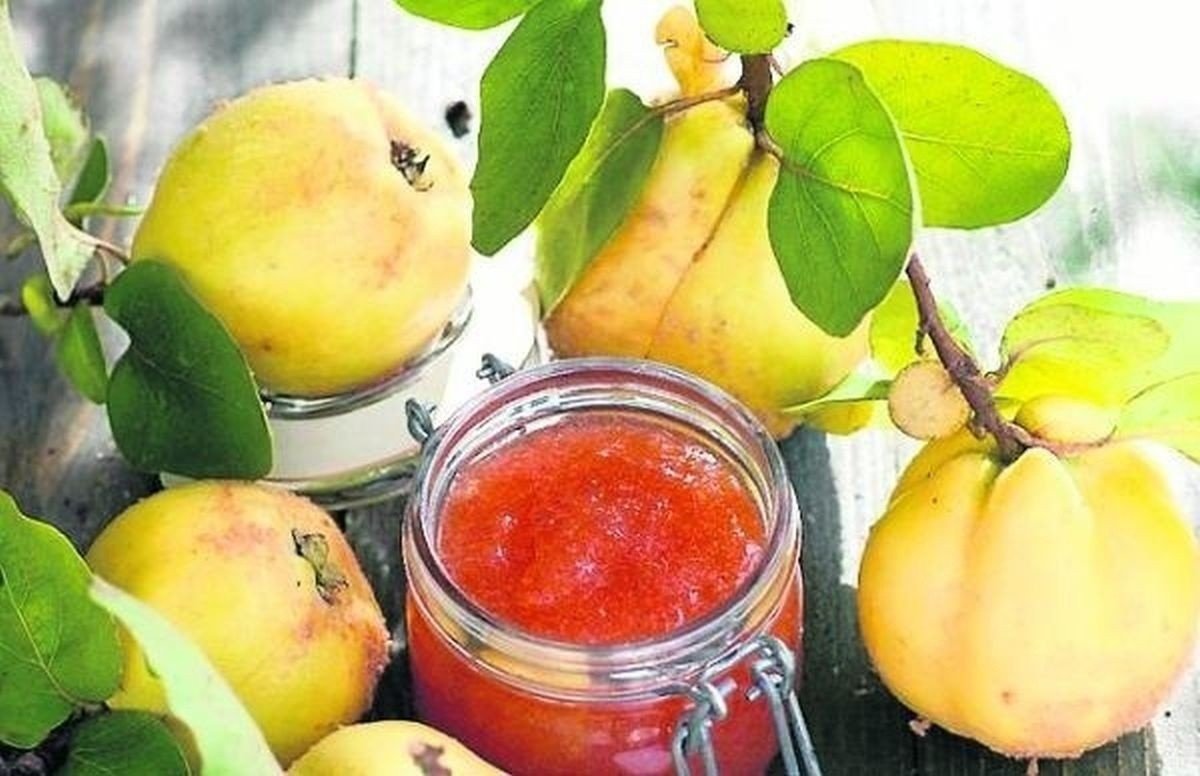 Nalewka z pigwy. Oto przepis babci. Jak zrobić pyszną pigwówkę z miodem ...