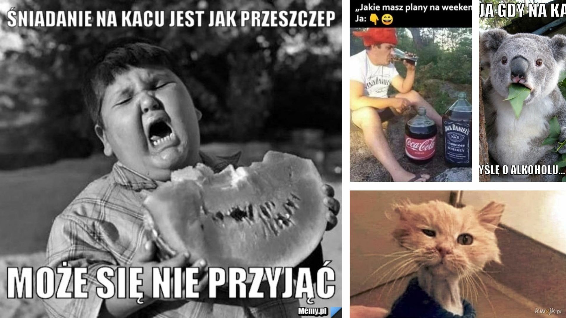 Najlepsze memy o kacu: śmieszne obrazki o bólu głowy po imprezie ...