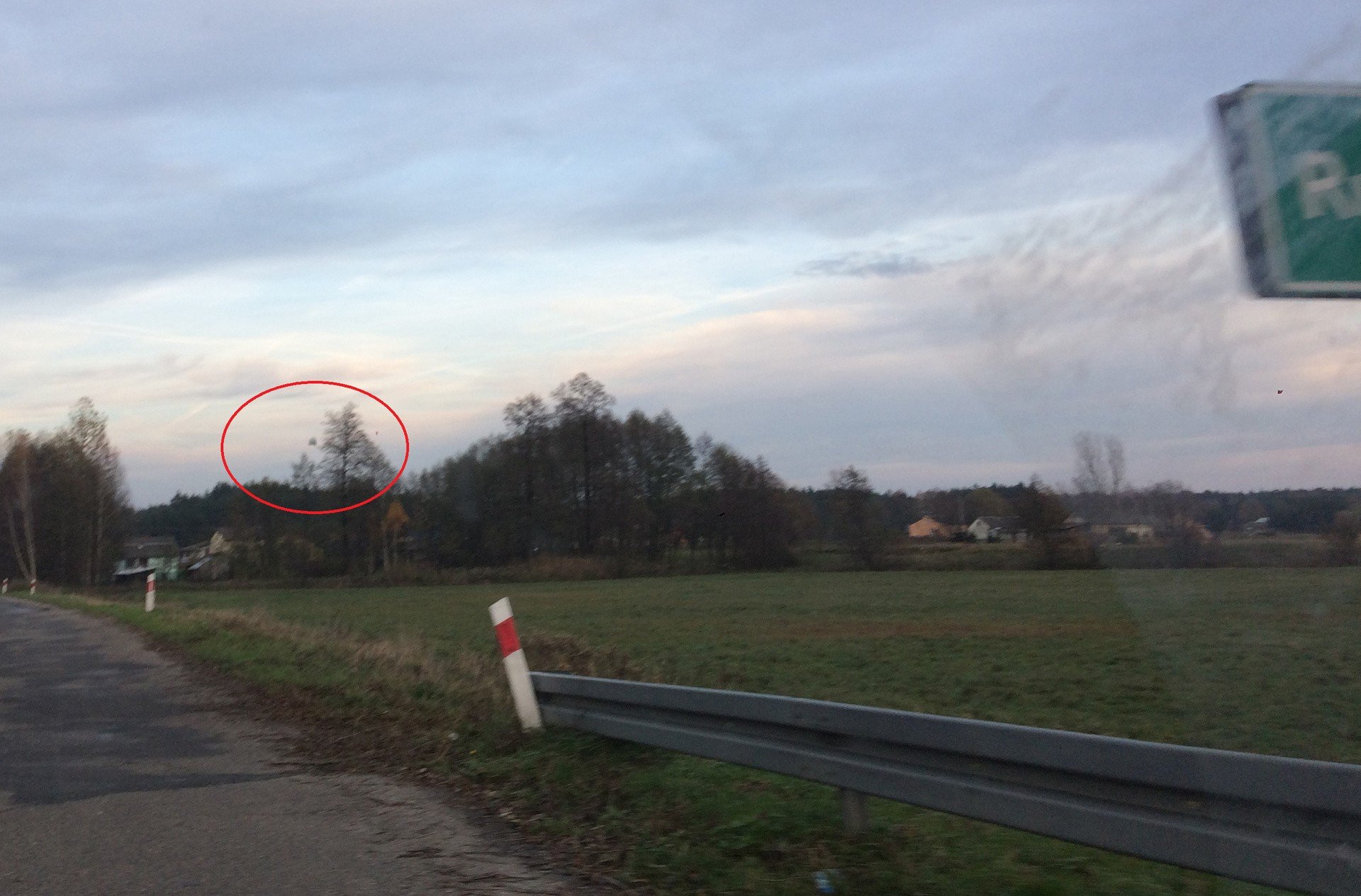 UFO powróciło do Emilcina pod Opolem Lubelskim? Fundacja Nautilus nie ...