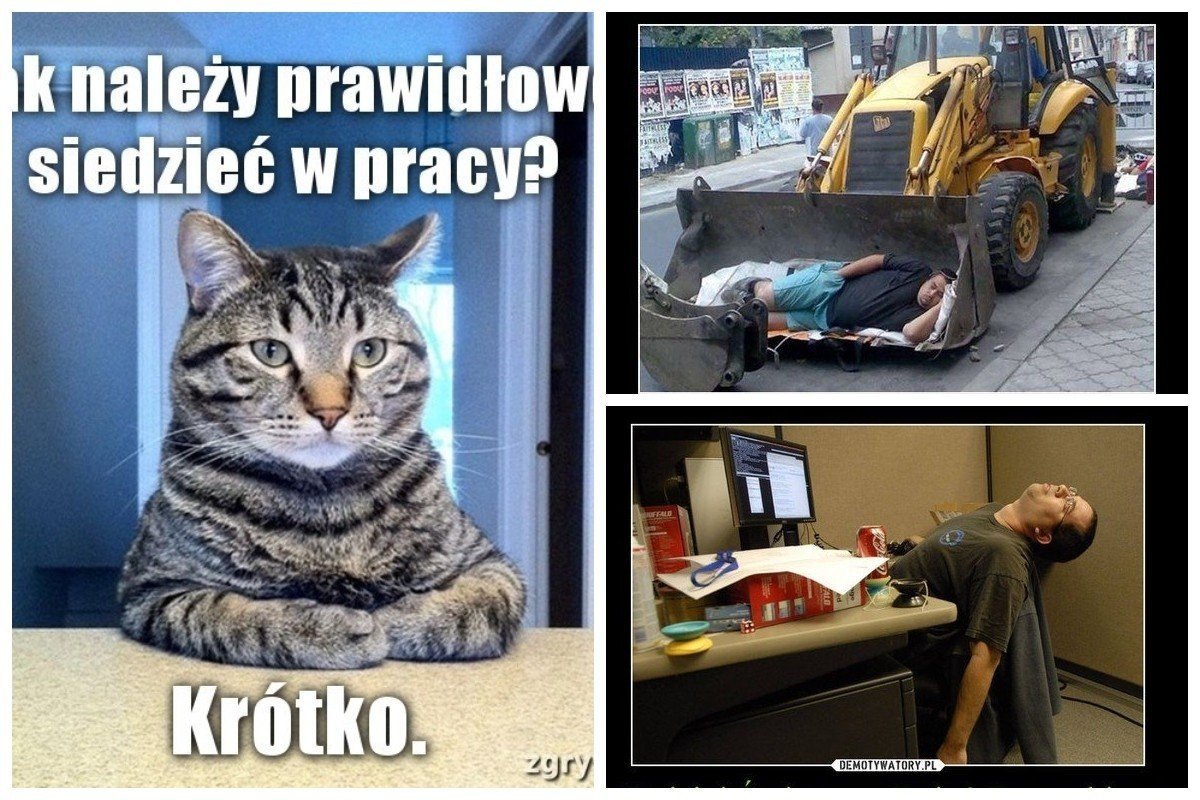 Światowy Dzień Drzemki w Pracy - 13 marca. Najśmieszniejsze MEMY o ...
