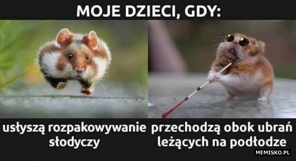 Dzień Dziecka 2023 | Nowa Trybuna Opolska