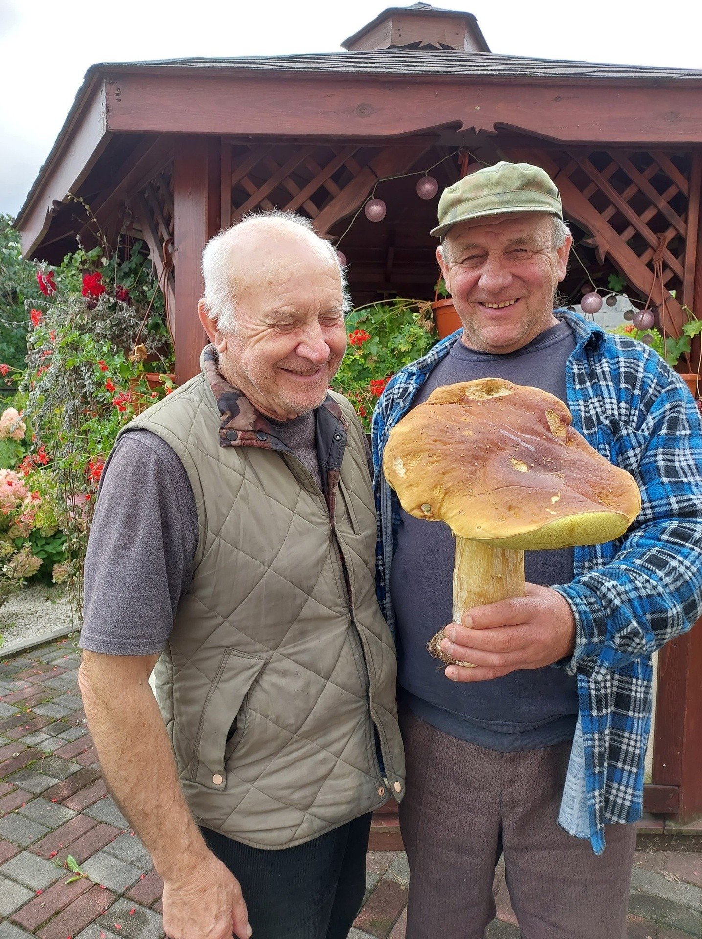 Olbrzymi grzyb pod Częstochową. Gigant został znaleziony przez pana ...