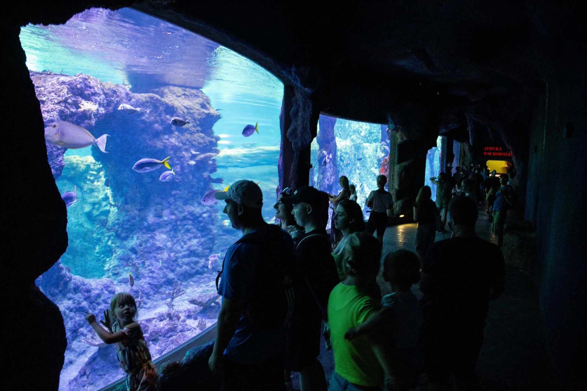 Afrykarium Wrocław, czyli skrawek Afryki we wrocławskim zoo. Cennik ...