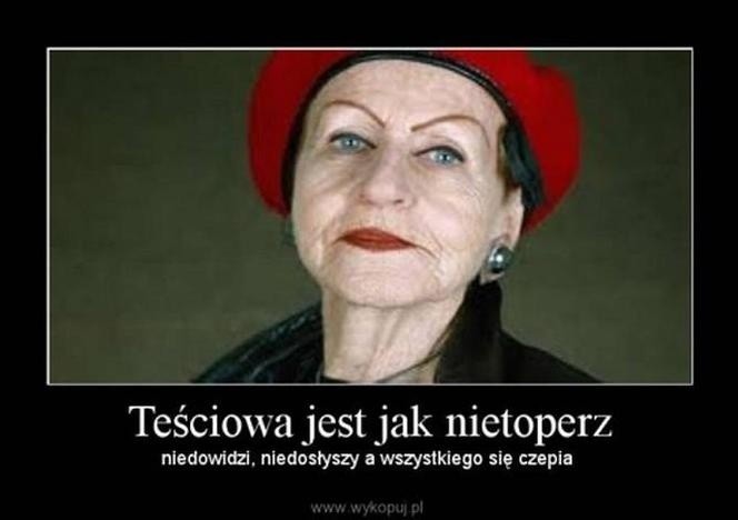 Najśmieszniejsze memy o teścowiej | Dziennik Zachodni