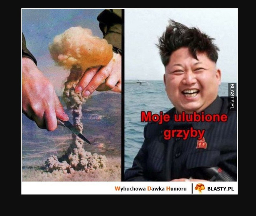 MEMY grzybobranie | Express Ilustrowany
