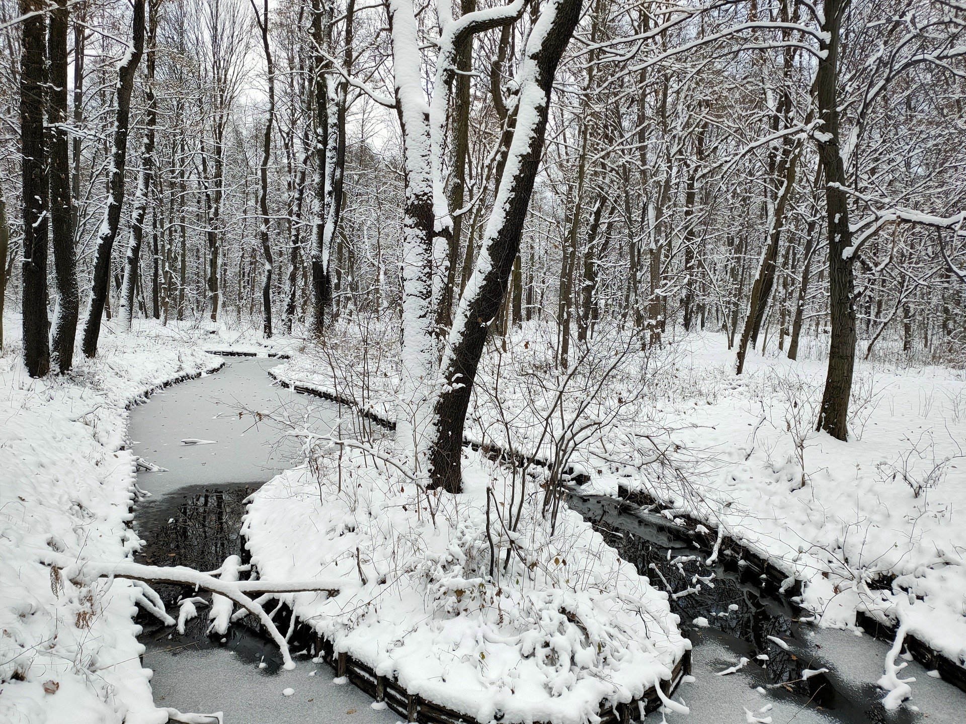 Zimowy Park Zielona w Dąbrowie Górniczej wygląda wyjątkowo. Pod białym ...