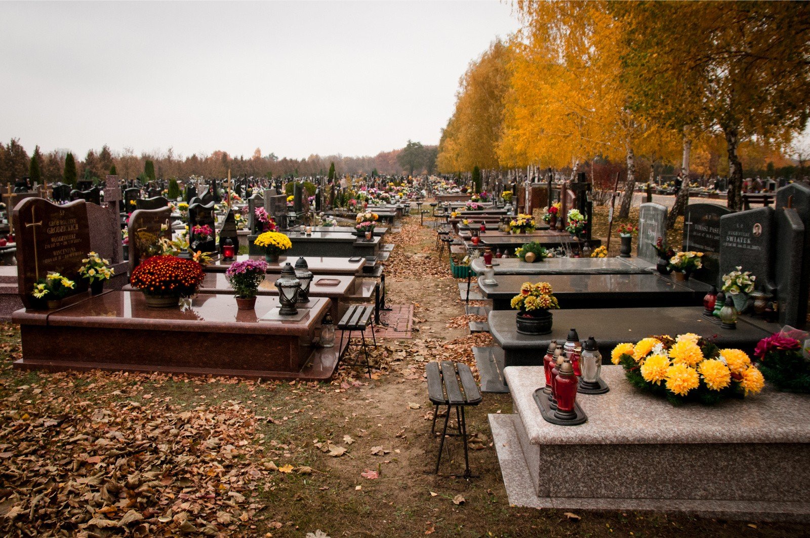 Miejsce 2: Cmentarz Komunalny Północny w Warszawie | Strona Podróży