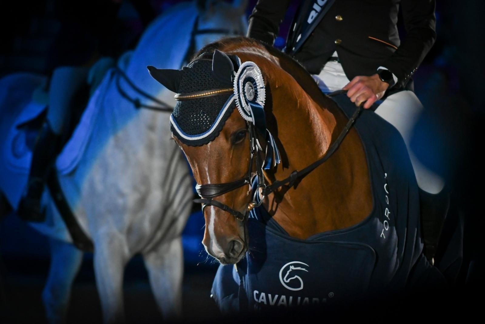 Jeździecka Cavaliada. Litwin Petraitis zwycięzcą Finału Średniej Rundy ...