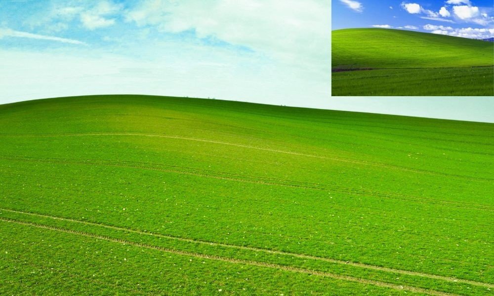 Zdjęcie słynnej łąki z tła pulpitu Windowsa zostało zrobione pod ...