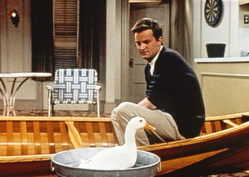MATTHEW PERRY | Gazeta Lubuska