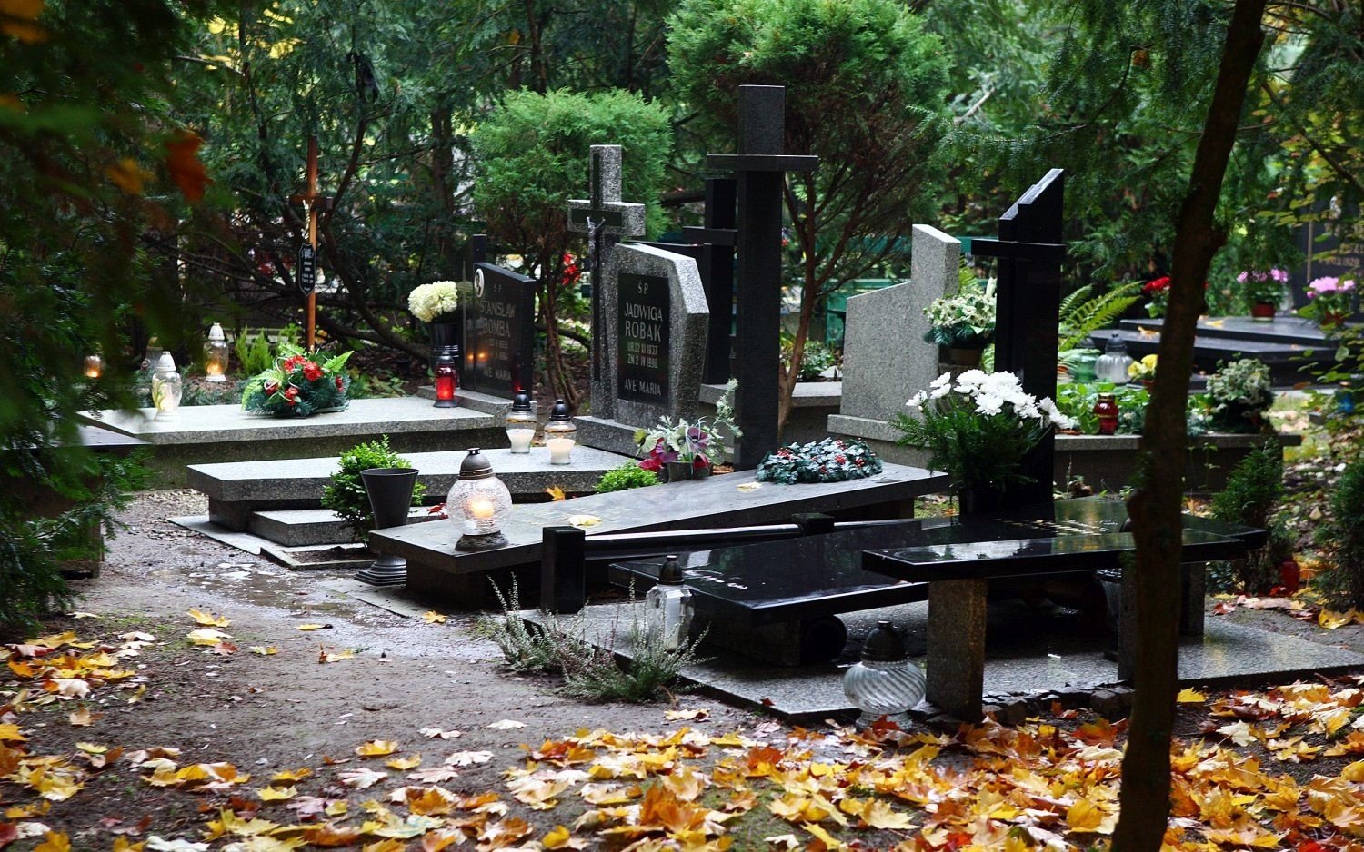 Nieopłacone groby na Cmentarzu Centralnym mogą zostać zlikwidowane ...