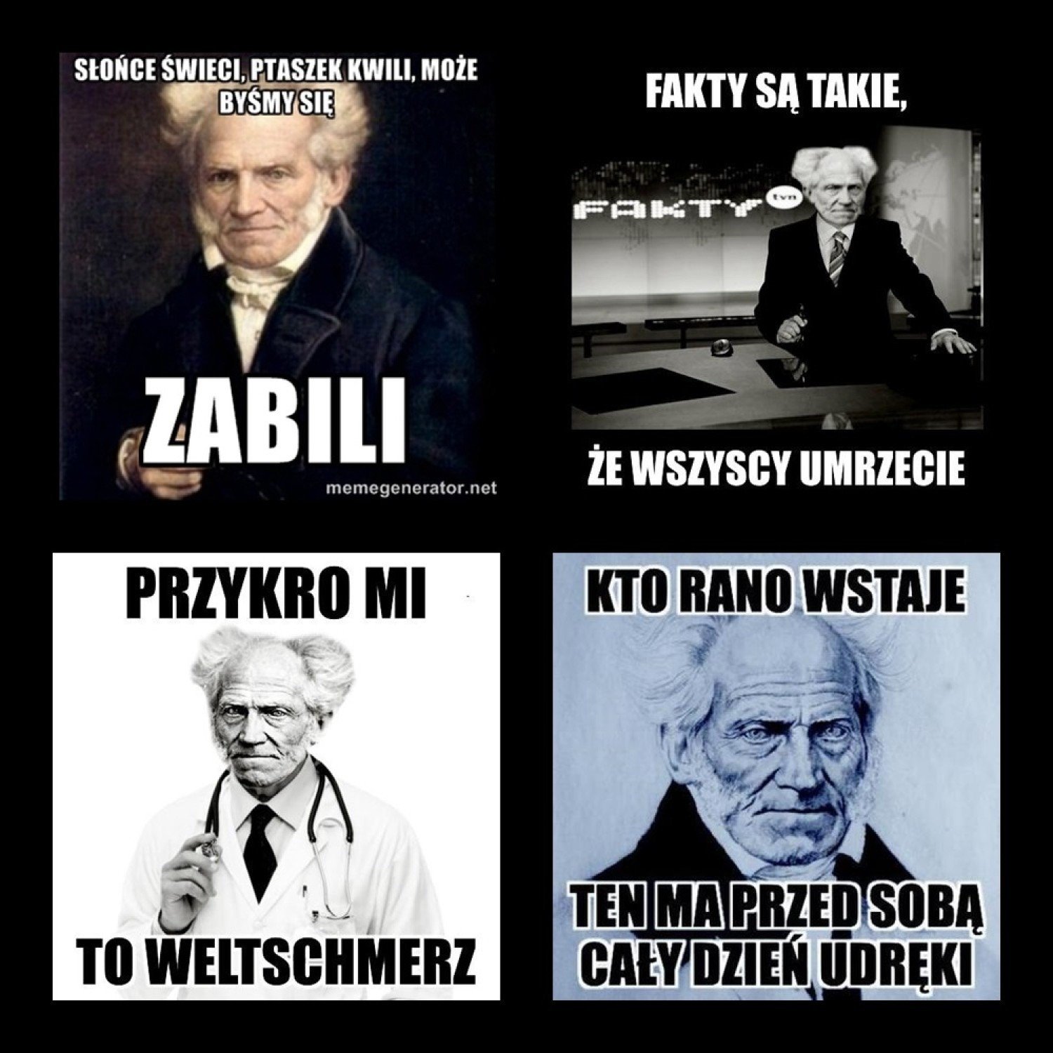Memy z Schopenhauerem. Internauci uczą pesymizmu [GALERIA] | Dziennik ...