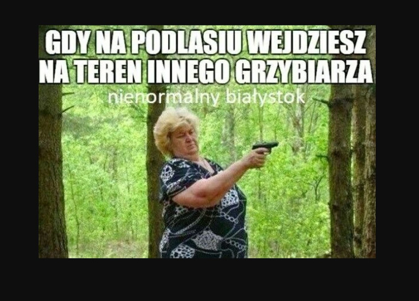MEMY grzybobranie | Express Ilustrowany