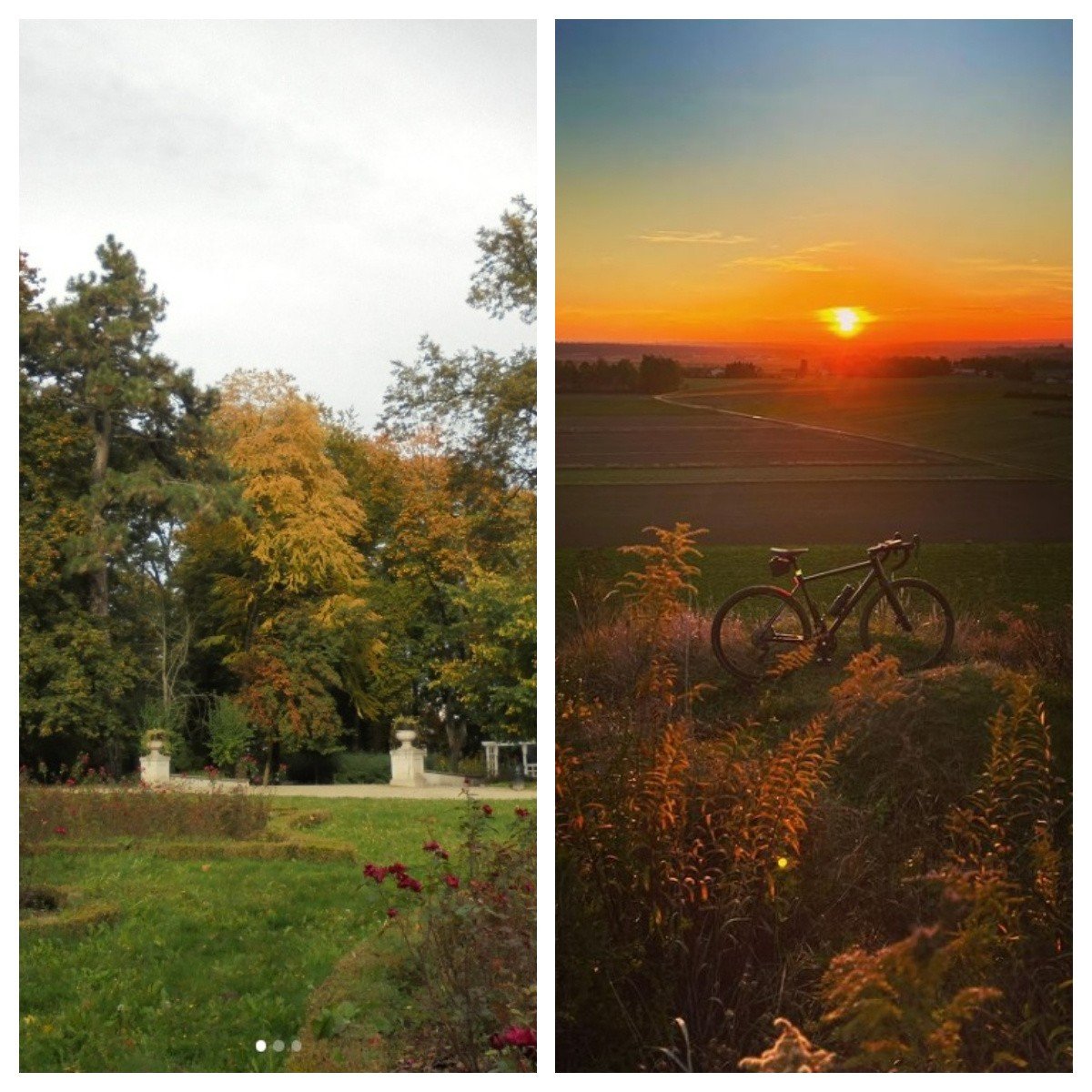 Jesień w Lublinie w obiektywie instagramerów. Zobacz jak piękne jest ...