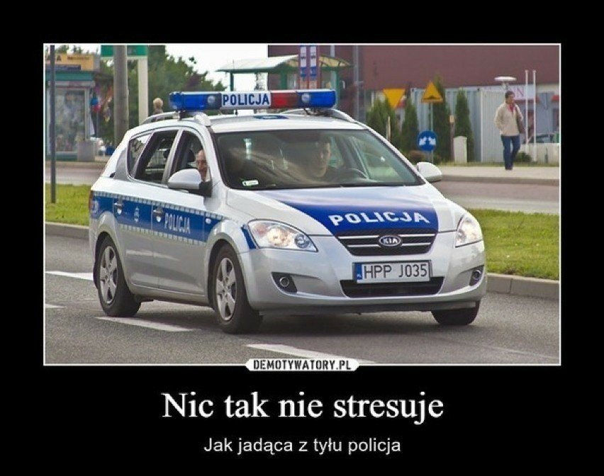 Najlepsze MEMY o policji. Tak pracę policjantów widzą internauci ...