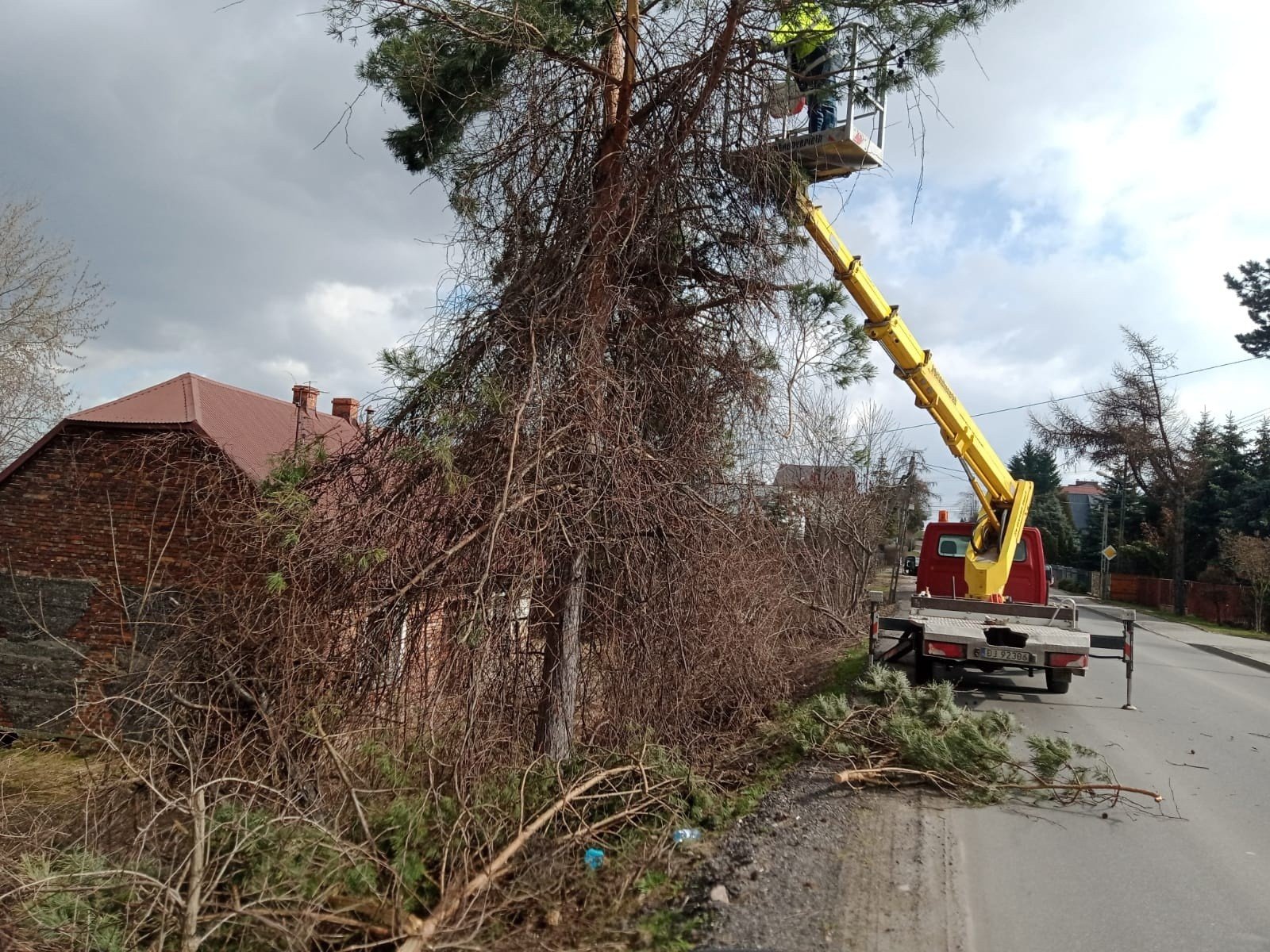 Sprzątanie na podkrakowskich drogach. Zamiatanie, mycie, wycinka i ...