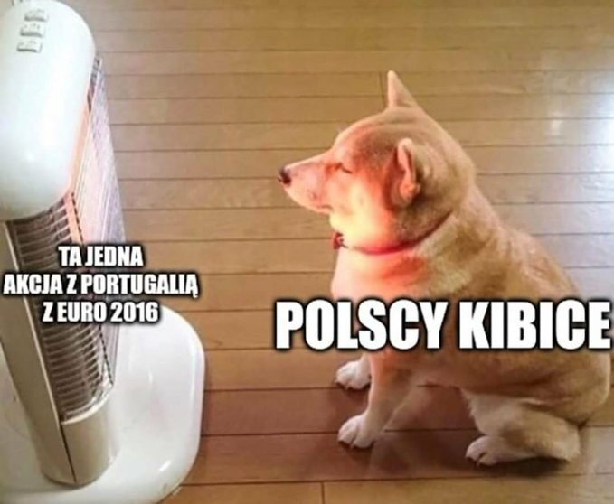 Memy o reprezentacji Polski | Dziennik Zachodni
