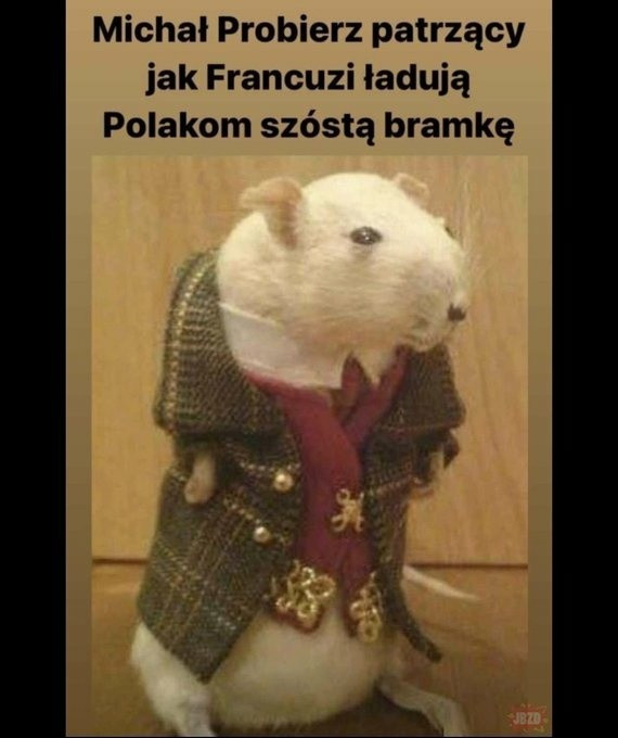 Memy o reprezentacji Polski | Dziennik Zachodni