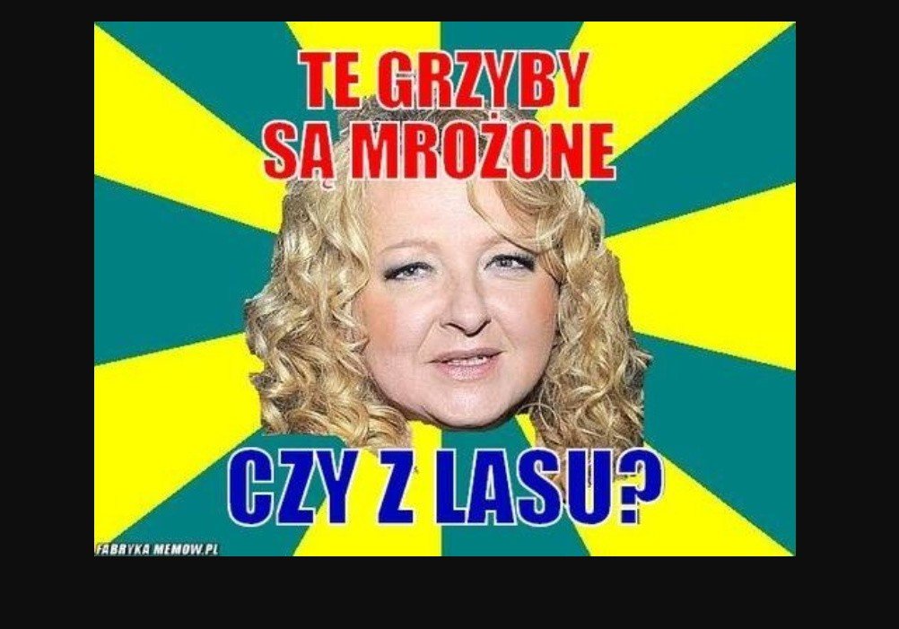MEMY grzybobranie | Express Ilustrowany