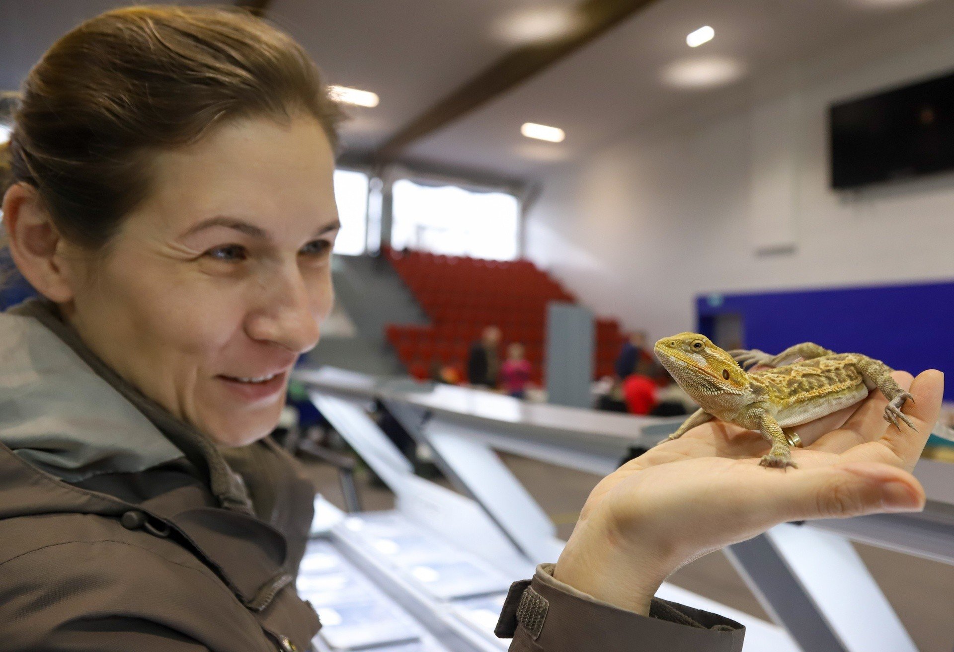 Węże, pająki, skorpiony w "spożywczaku"! Takie było Wild Animal Expo na ...