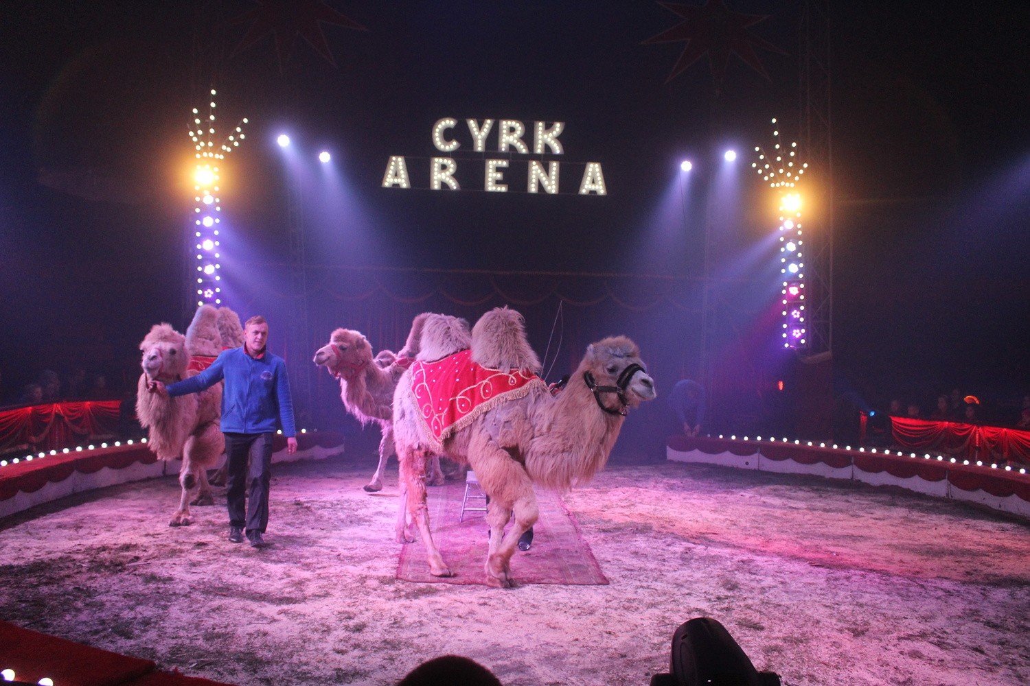 Cyrk Arena przyjechał do Mysłowic. Na arenie wystąpiły też zwierzęta ...