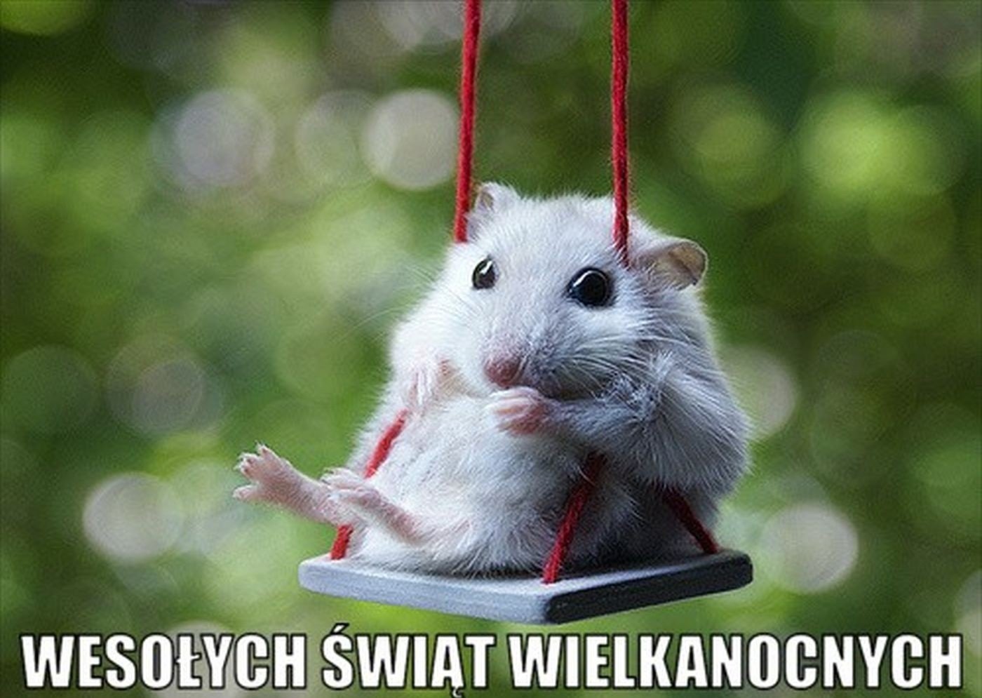 Święta zbliżają się wielkimi krokami. Czy to już czas na wielkanocne ...