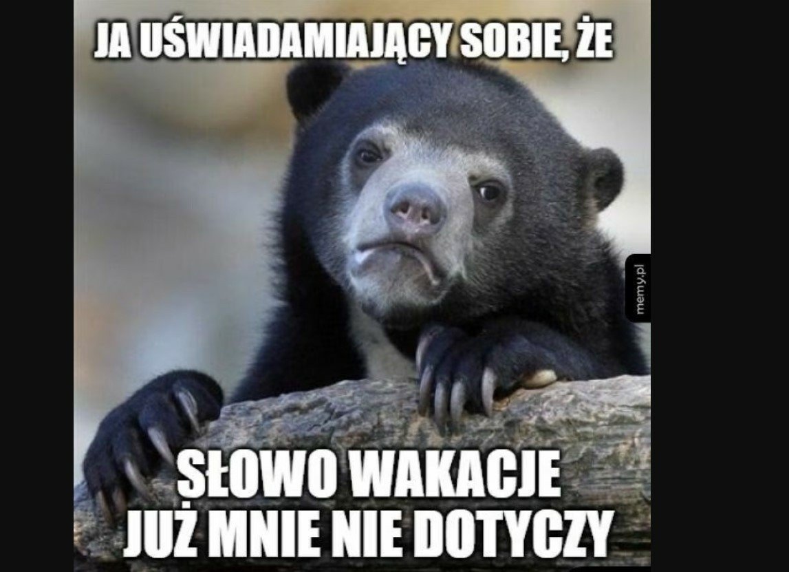 MEMY na wakacje 2024 | Express Ilustrowany