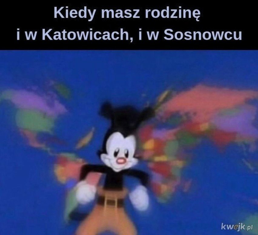 Memy o Katowicach bawią nie tylko mieszkańców województwa śląskiego ...