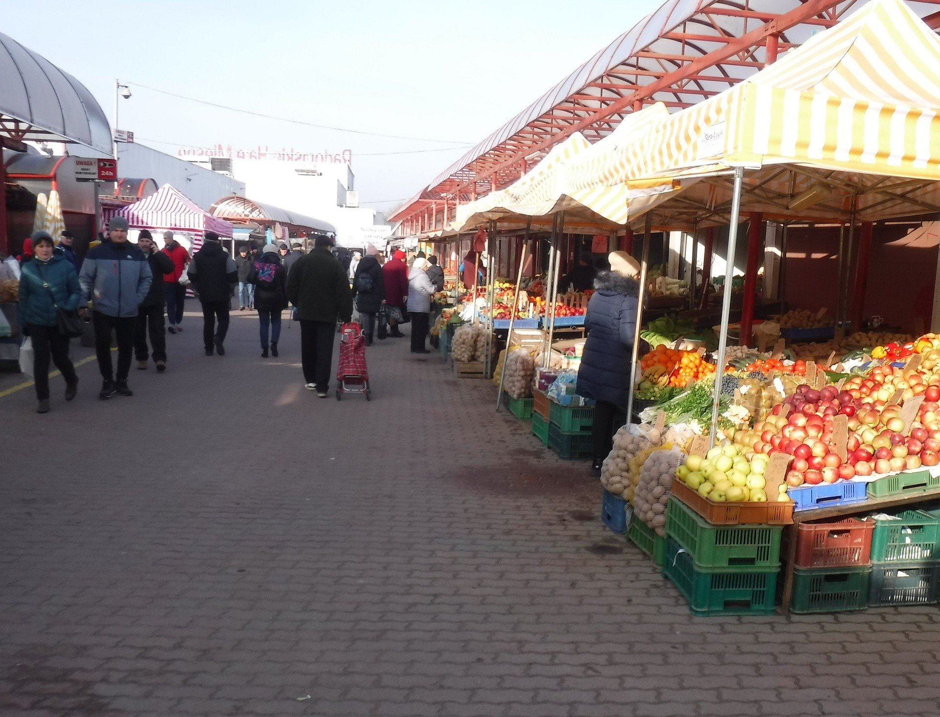 Ceny warzyw i owoców na targowisku Korej w Radomiu w czwartek, 16 ...