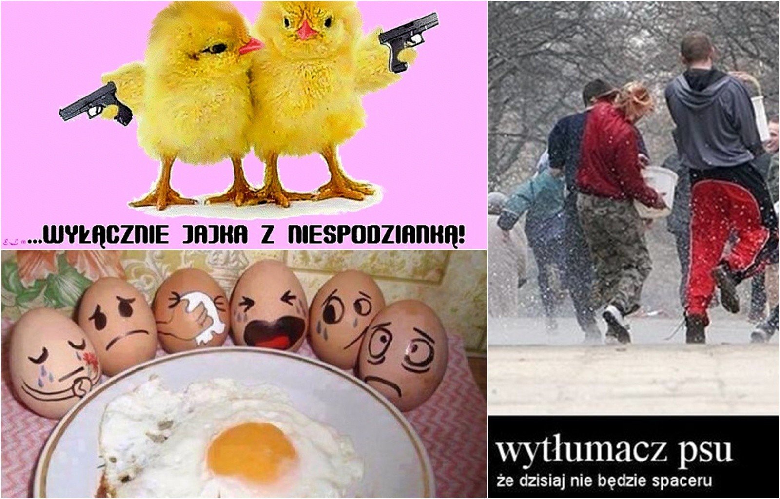 Wielkanocne memy, czyli święta w krzywym zwierciadle. Najśmieszniejsze ...