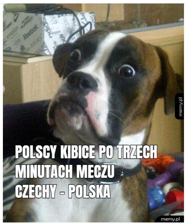 Czeski film, Santos w szoku. Najlepsze MEMY po meczu Czechy - Polska ...