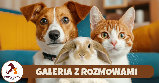 Pupil Roku - artykuły | Dziennik Zachodni