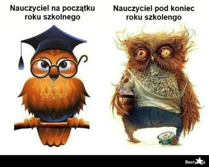 Najlepsze memy o nauczycielach. Te żarty bawią internautów! Mamy ponad ...