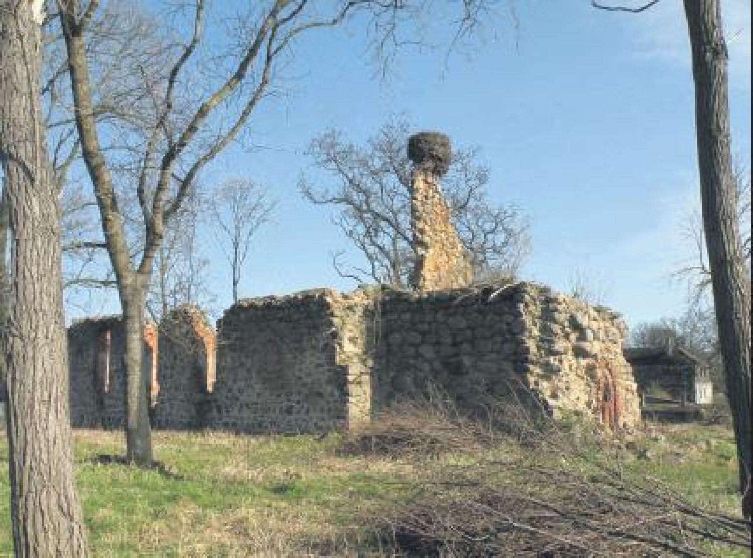 Dalewo. Piękno zaklęte w ruinach | Nasze Miasto