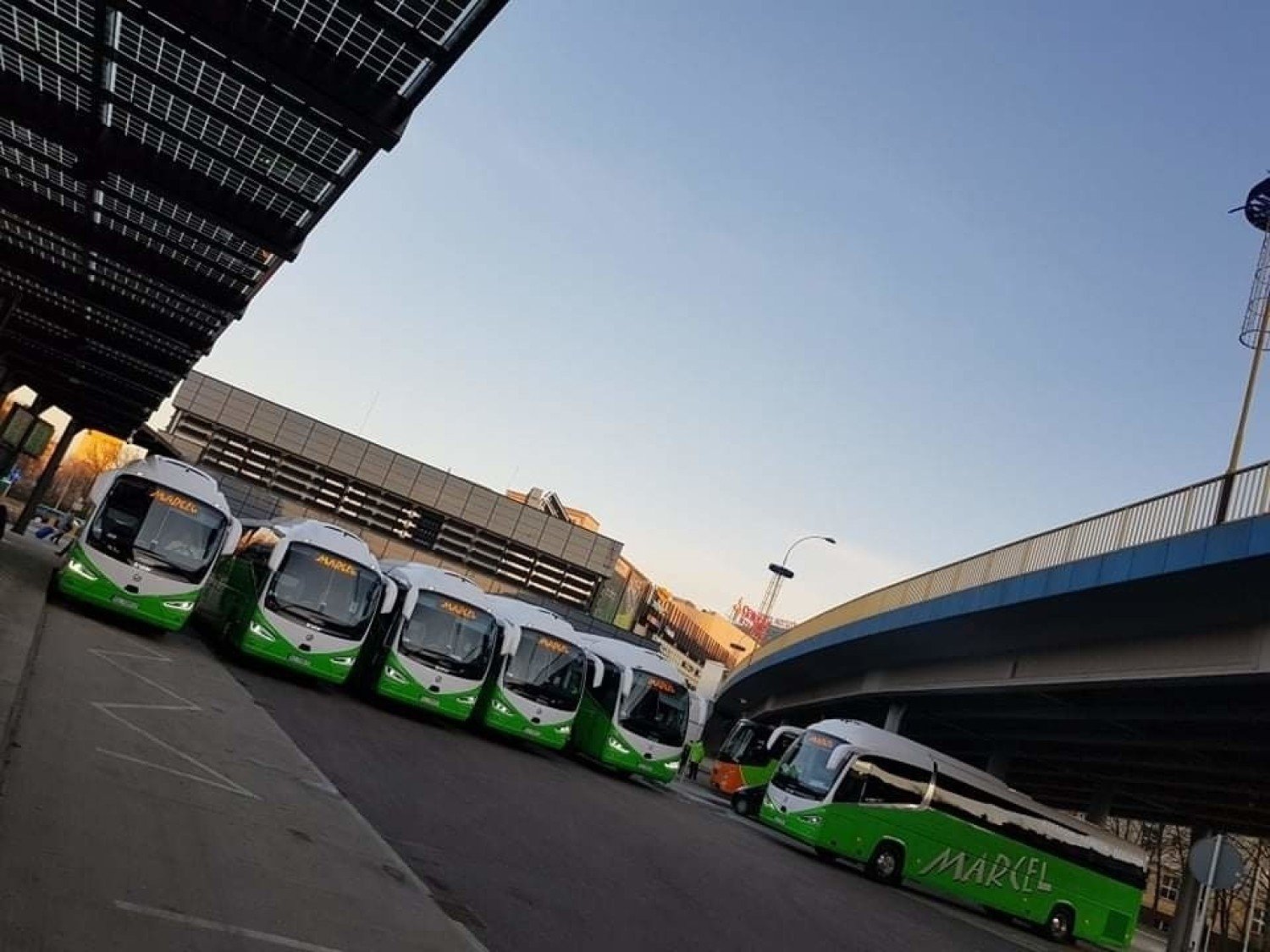 Marcel bus zawiesza kursy na Podkarpaciu przez koronawirusa! "Nie ...