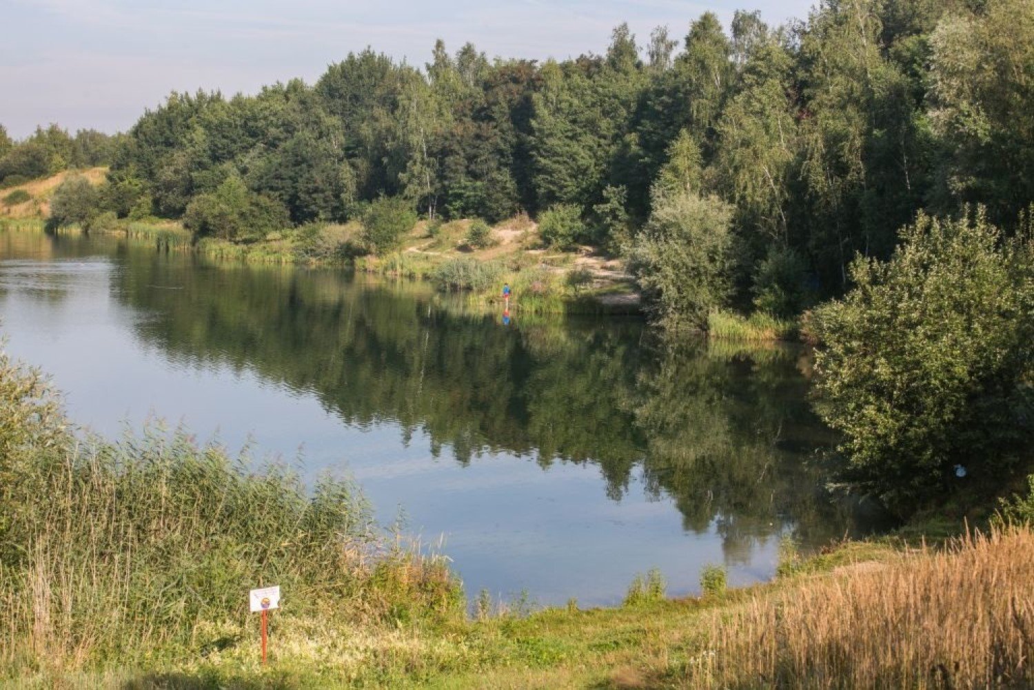 Tak wygląda plaża naturystów na kryspinowskim zalewie [ZDJĘCIA ...