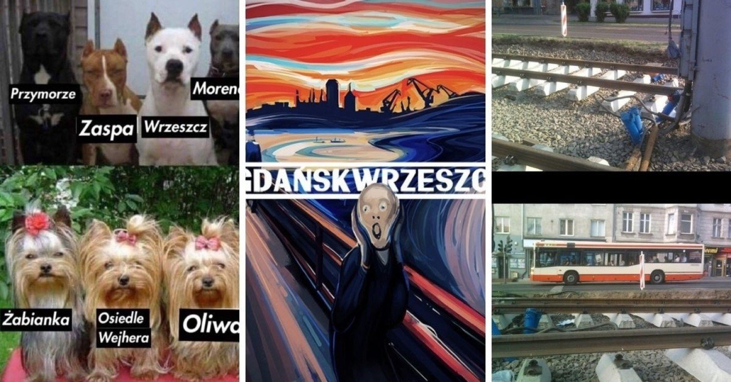 Ale beka! Gdańsk Wrzeszcz bohaterem memów. Gdańska dzielnica pod ...