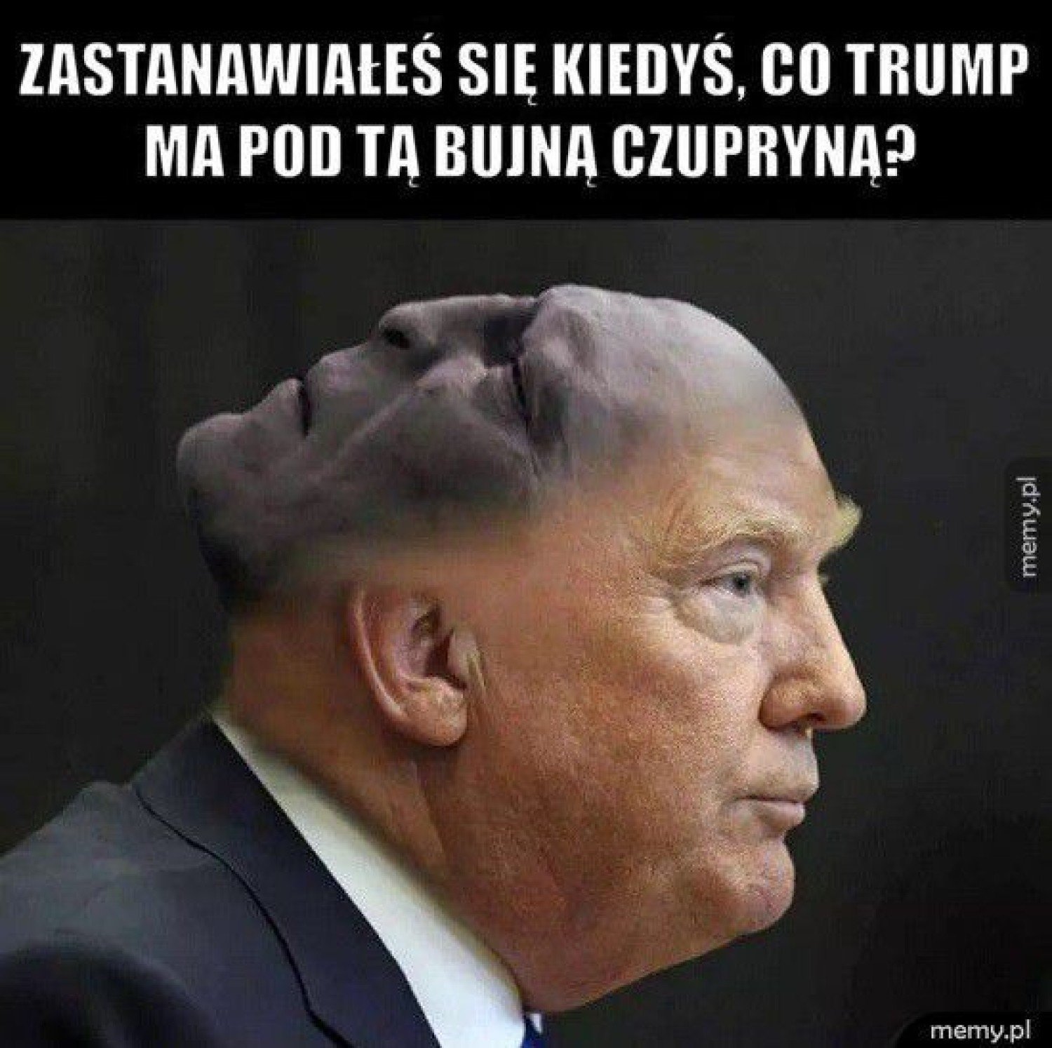 Donald Trump memy. W USA debata prezydencka, a internet ma swojego ...