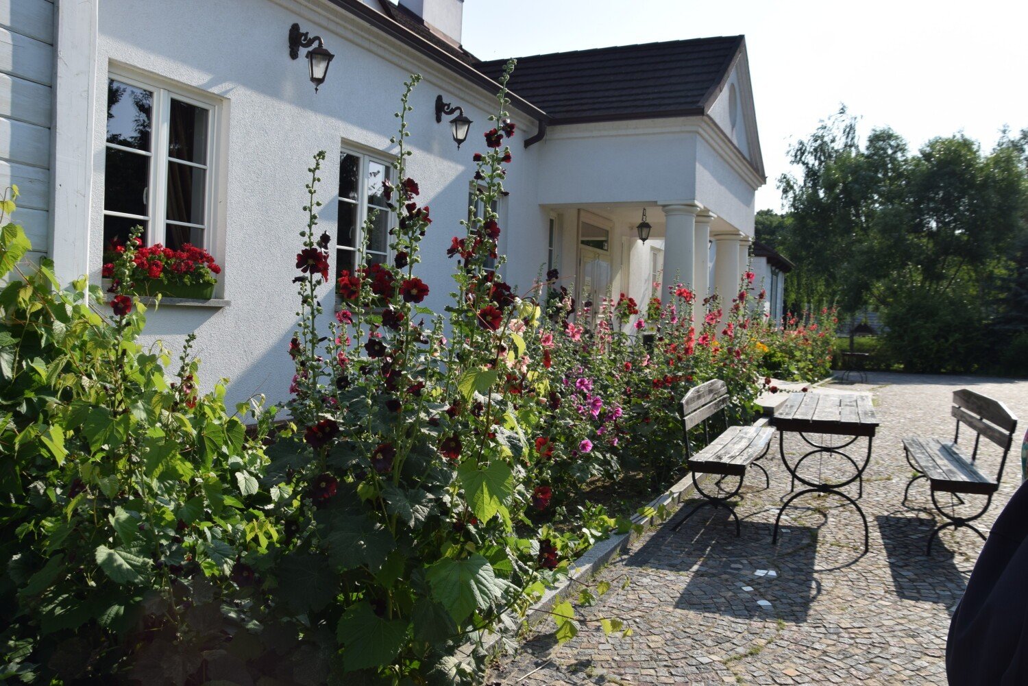Soplicowo w Cichowie. Pan Tadeusz wcale nie urodził się na Litwie ...