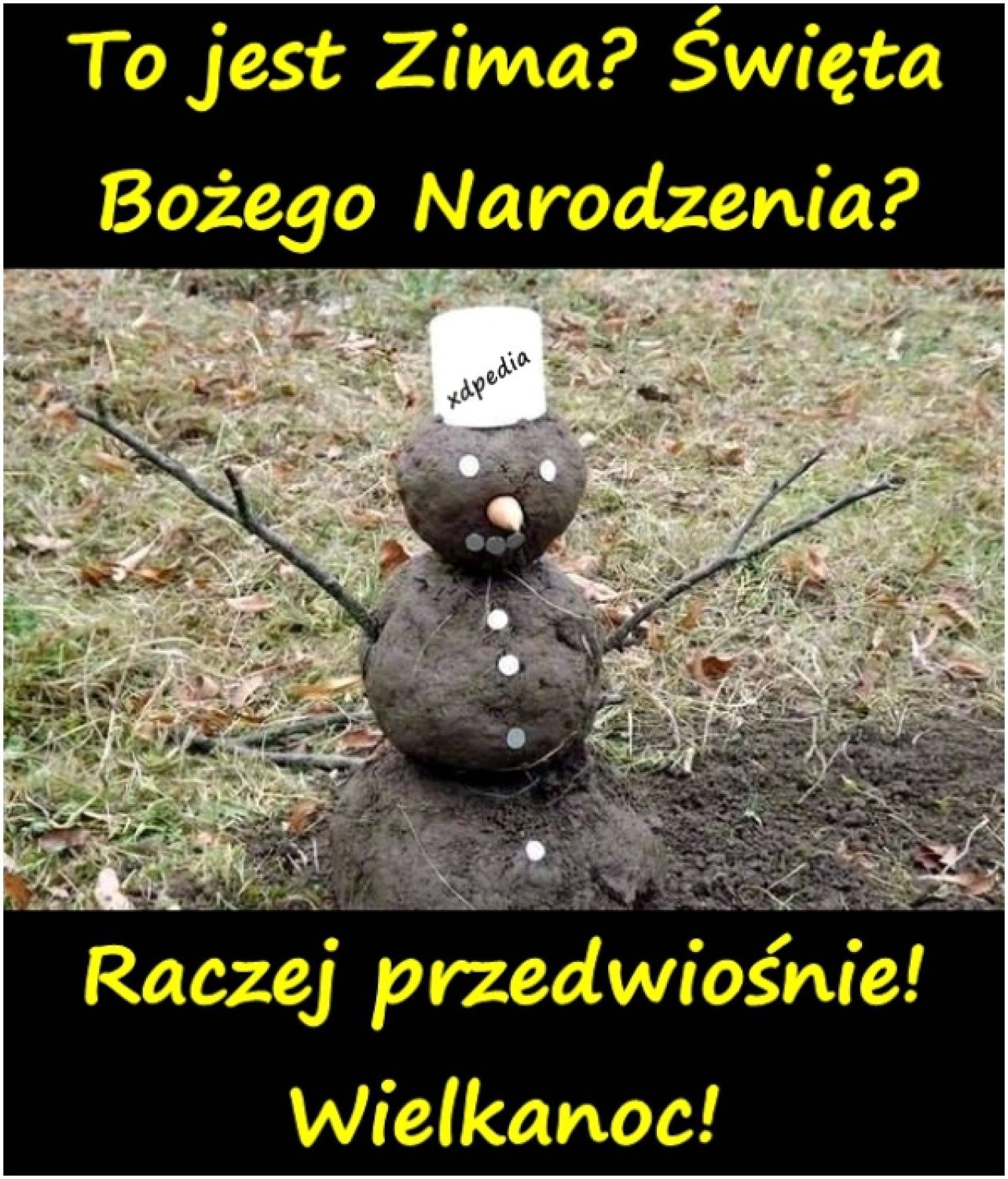 Święta na wesoło! [MEMY] | małopolskie Nasze Miasto