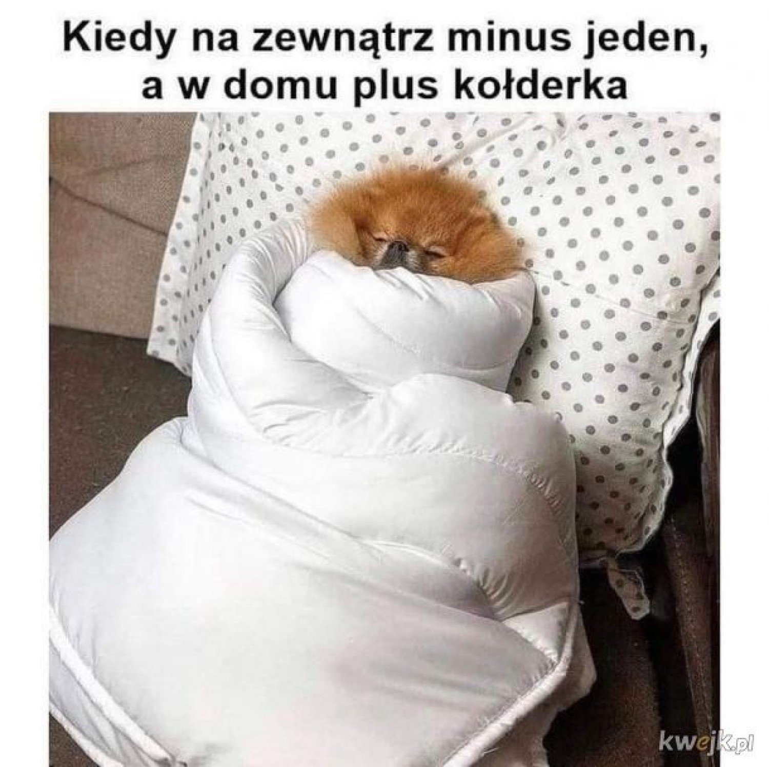 W tym roku zima zaskoczyła drogowców i nie przyszła wcale! Zobacz ...