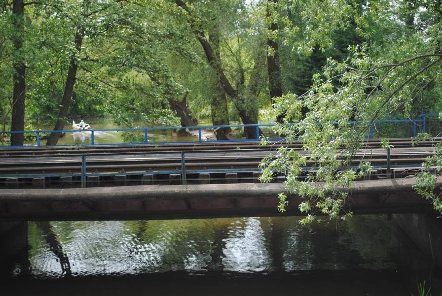 Spacer Szlakiem Żurawim w Wolsztynie (foto) | Kościerzyna Nasze Miasto
